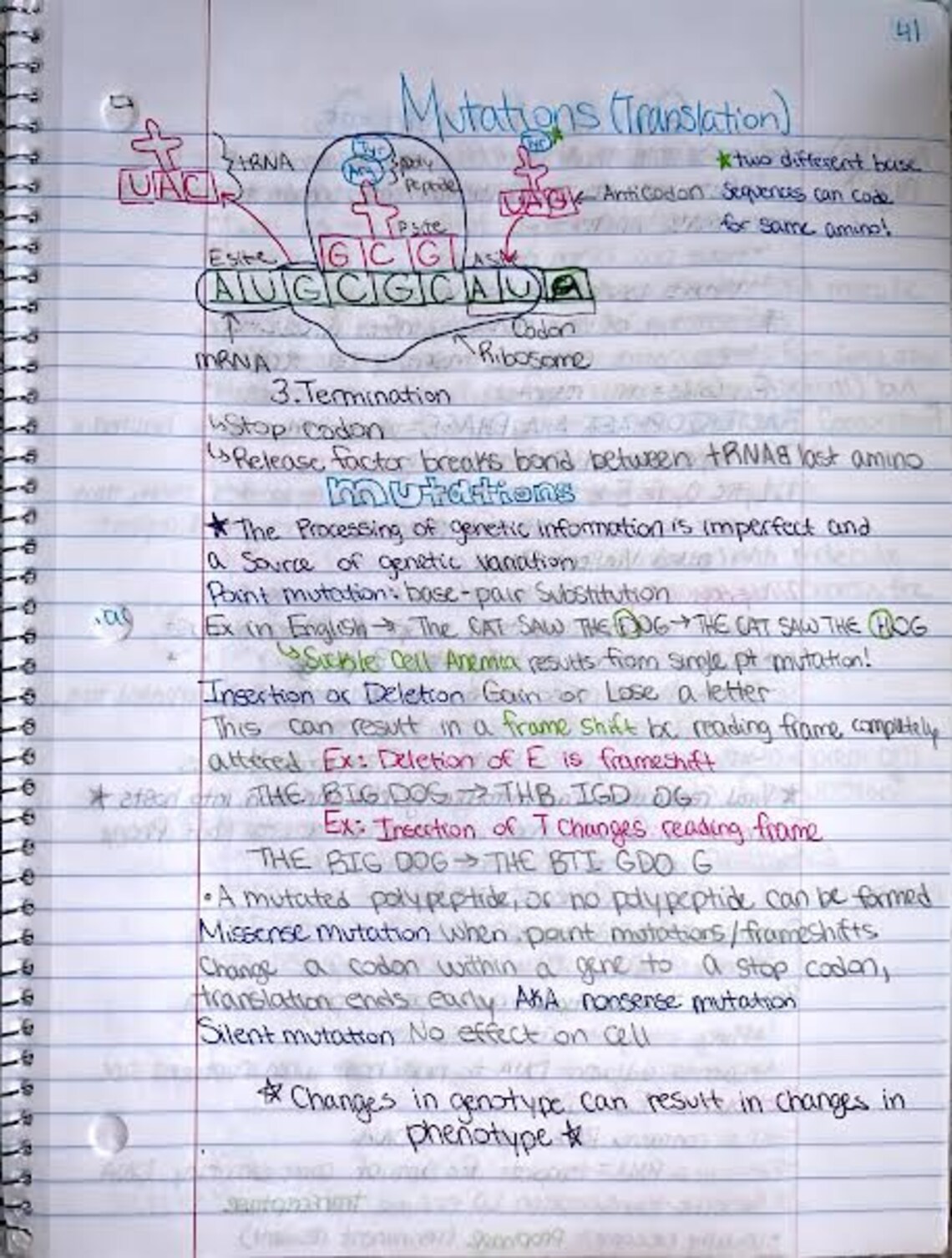 AP Biology Notes - Etsy