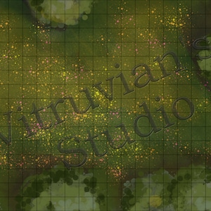 Forest Clearing, Full HD Battle Map for D&D 5E - Etsy