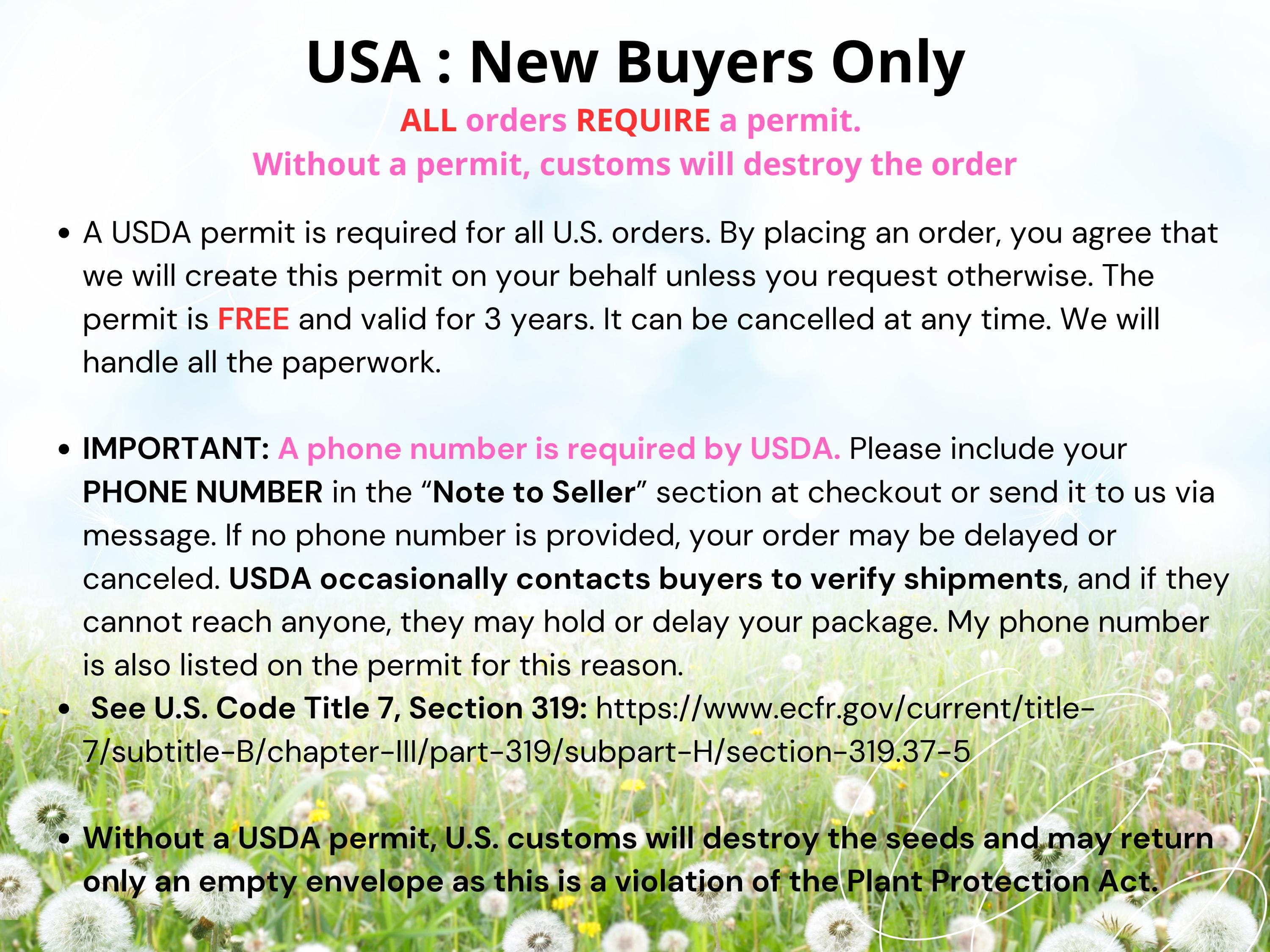 50 Coleus Wizard Rose Garden Seeds*houseplants*indoor/outdoor Flowers ...