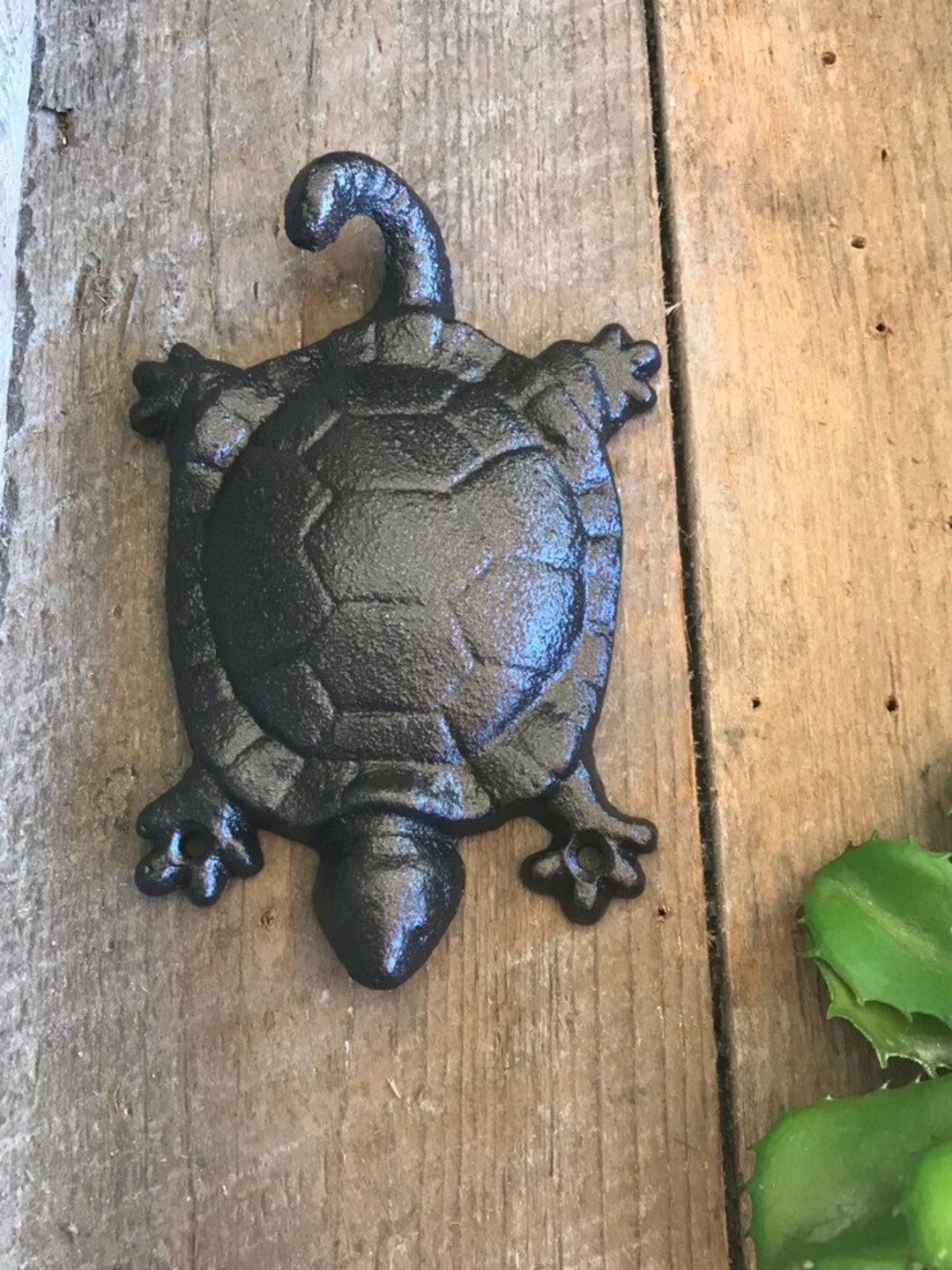 Desert Tortoise Wall Hook in Antique Bronze Finish - Etsy