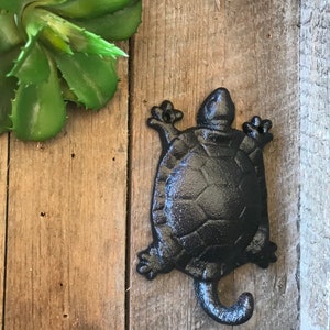 Desert Tortoise Wall Hook in Antique Bronze Finish - Etsy