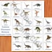 DINOSAUR Memory Game Printable Cards INSTANT DOWNLOAD, Famous Dinosaurs ...