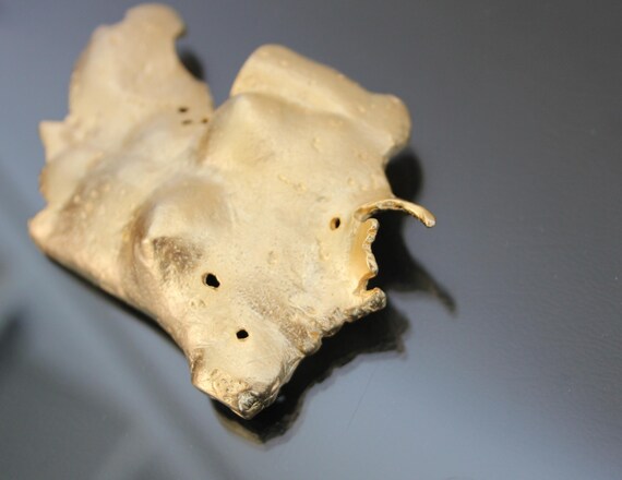 XL Vintage Gold Tone Cast Torso Brooch. Pucci Style. … - Gem