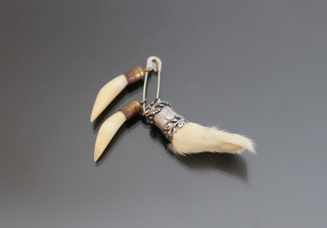 Genuine Rabbit Claw, Fox Tusk Teeth Pendants Set. Vintage Oktoberfest ...