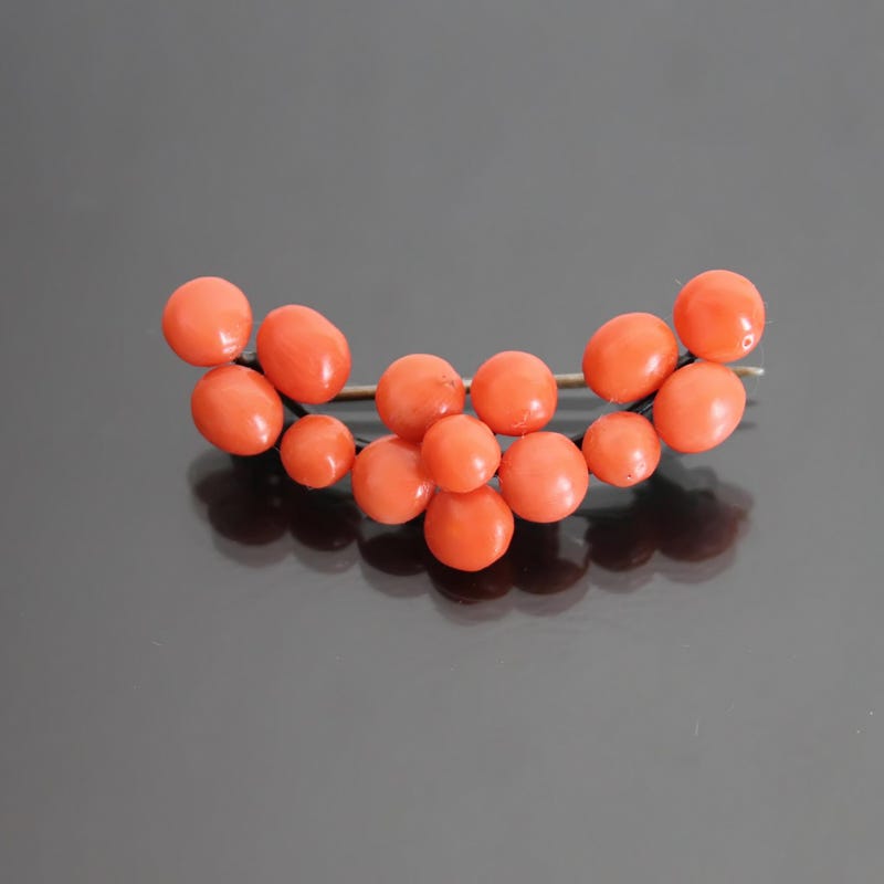 Coral Pin - Etsy