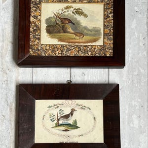 Antique English Painting Pheasant Birds Georgian Dated 1828 - Etsy