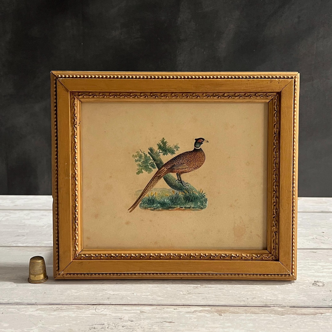 19th Century Bird Picture Embossed Paper Pheasant by Dobbs of London ...