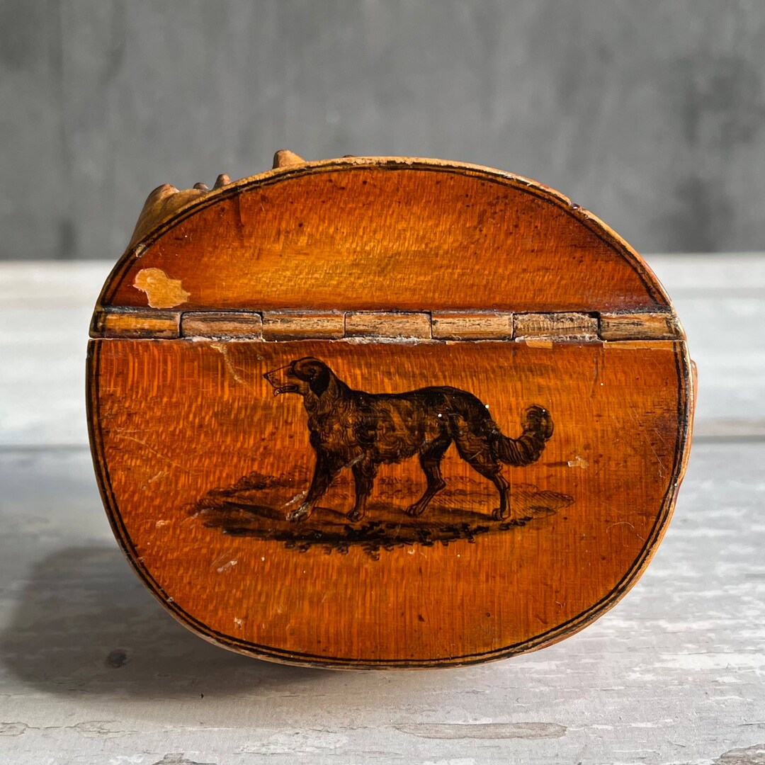 19th Century Newfoundland Dog Burr Root Snuff Mull, Penwork Snuff Box ...