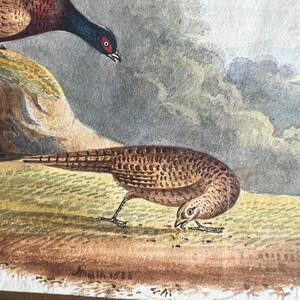 Antique English Painting Pheasant Birds Georgian Dated 1828 - Etsy