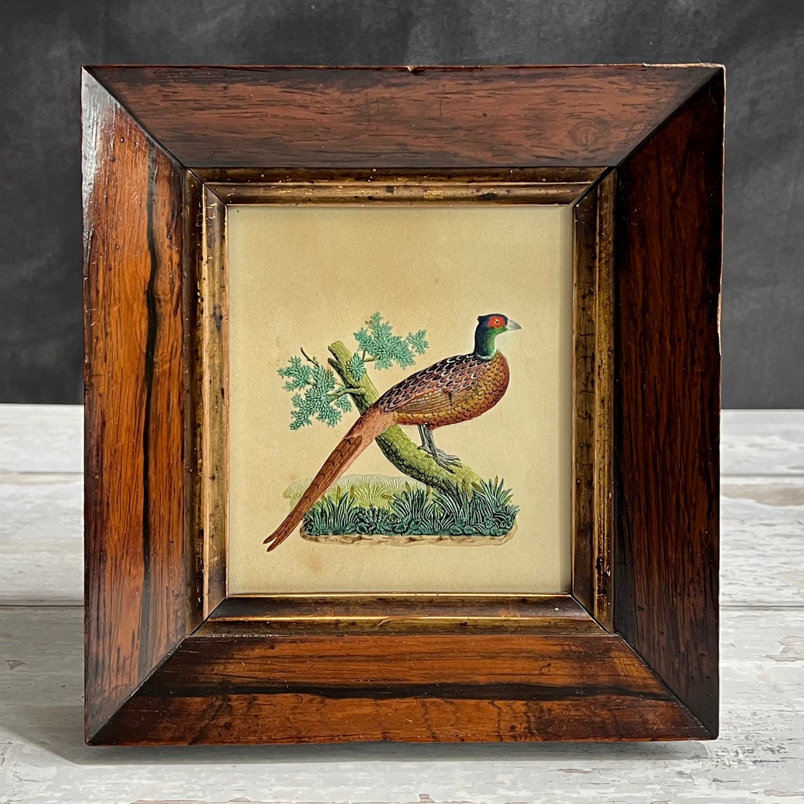 Miniature Georgian Embossed Paper Pheasant Bird by Dobbs of London ...