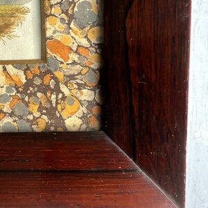 Antique English Painting Pheasant Birds Georgian Dated 1828 - Etsy