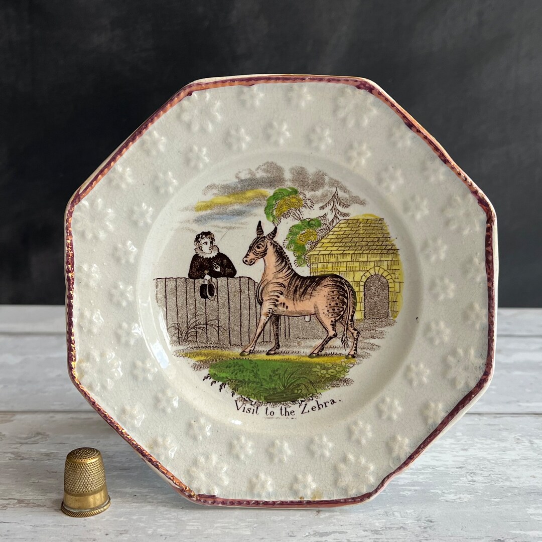 Rare Childrens Early Zoo Zebra Plate Nursery Ware Pearlware C 1840 ...