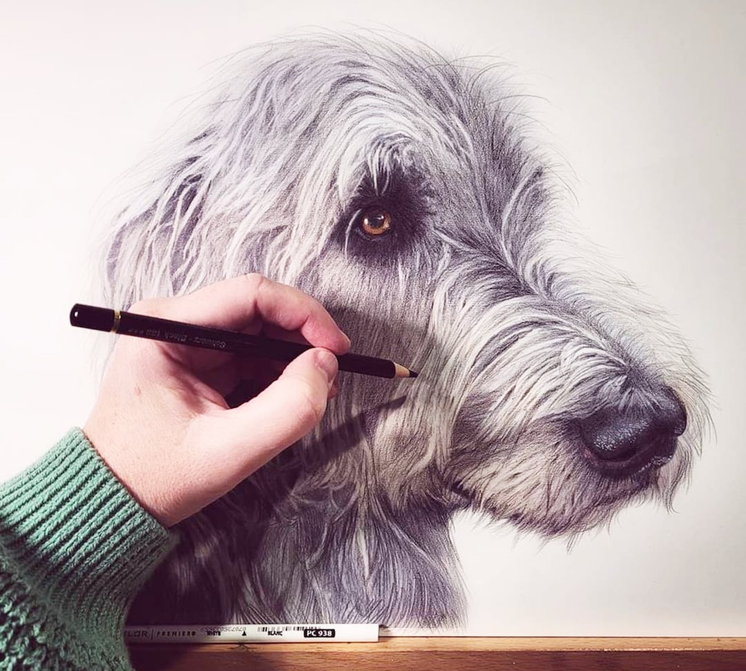Custom Pet Portraits Using Pet Photo Personalised Hand Drawn Dog ...