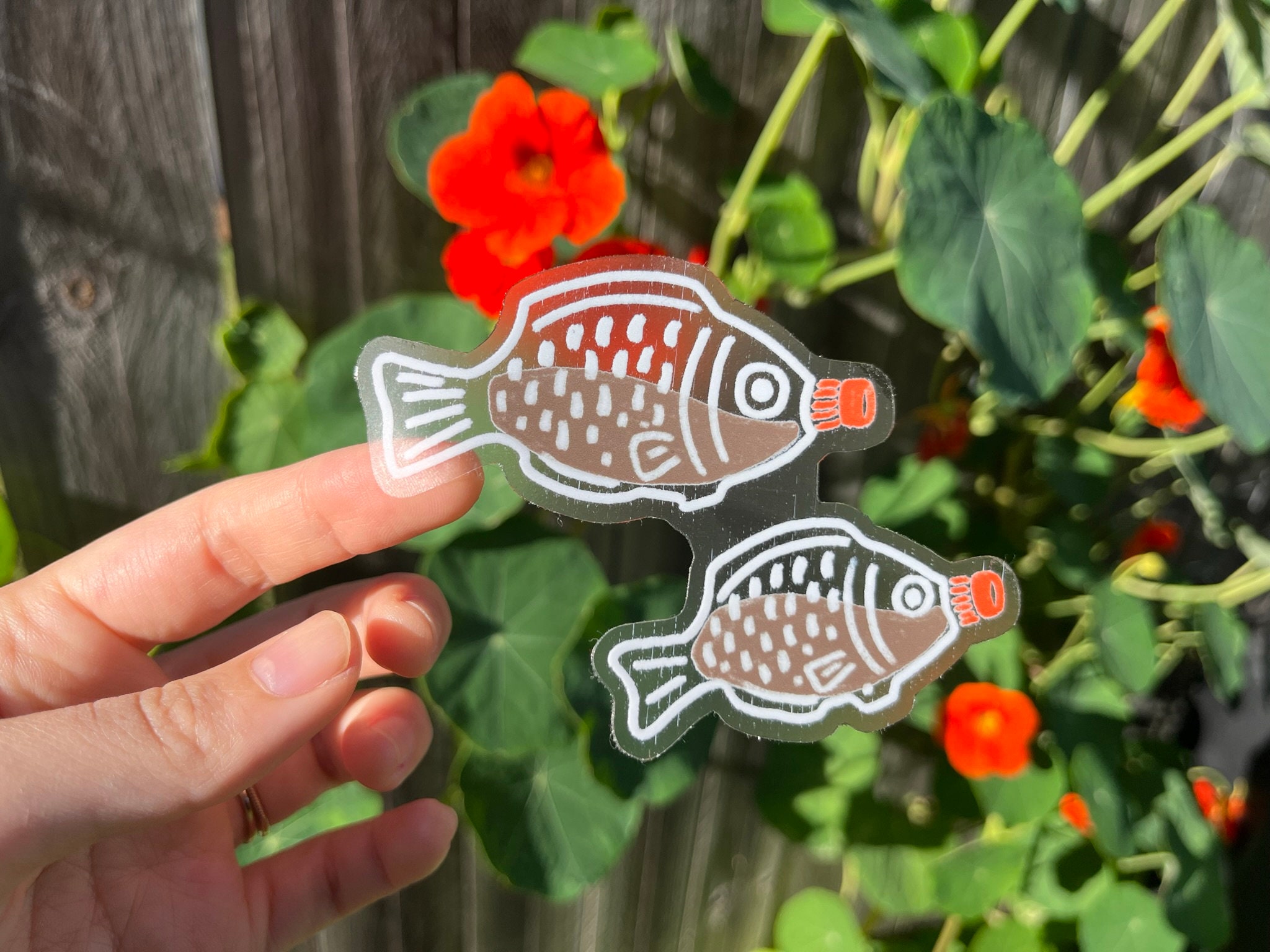 Shoyu-tai | Soy Sauce Fish Clear Waterproof Vinyl Sticker Japanese ...