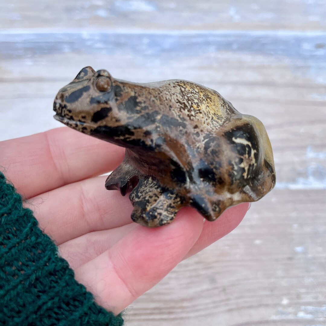 Picture Jasper Frog - Etsy