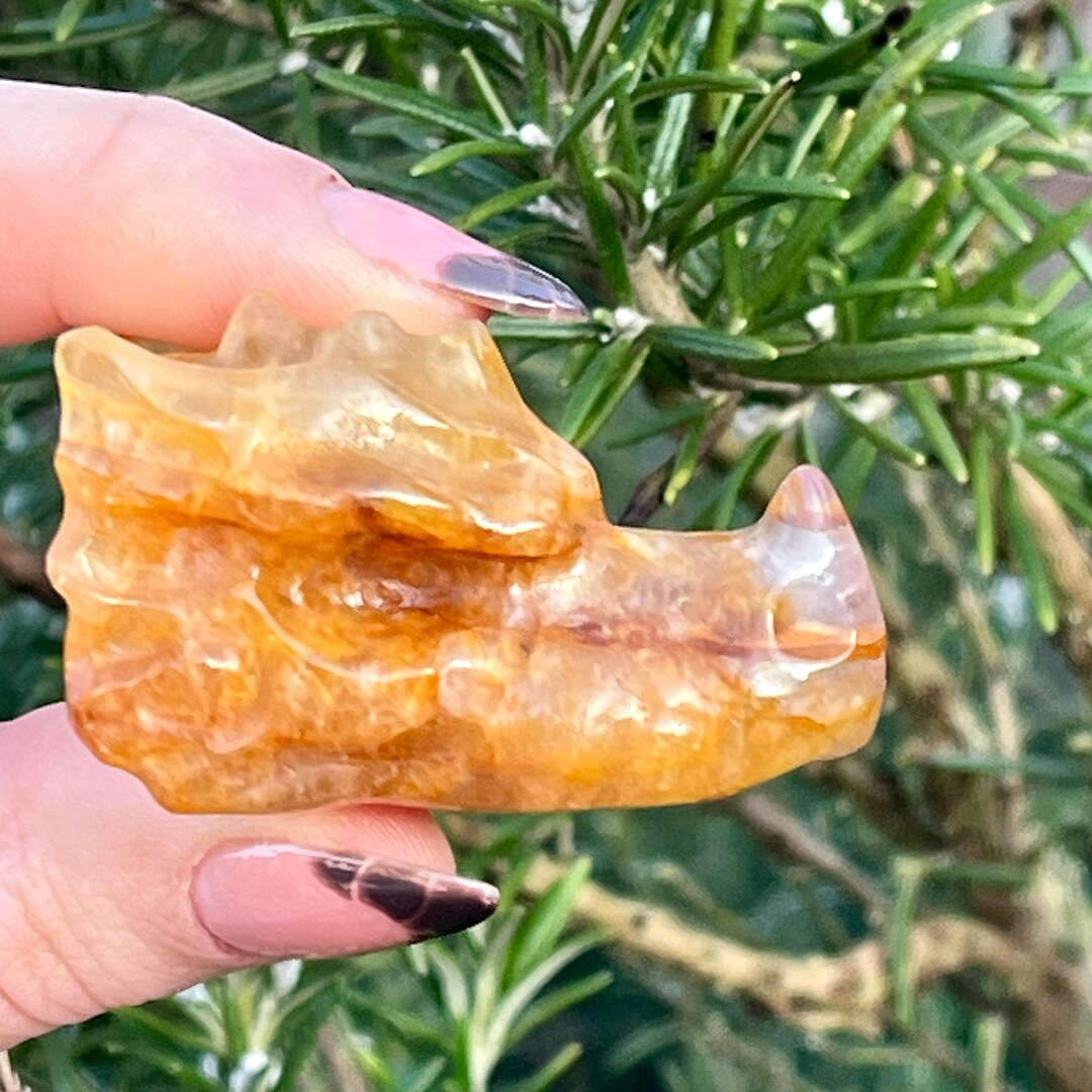 Small Golden Healer Dragon Skull - Etsy