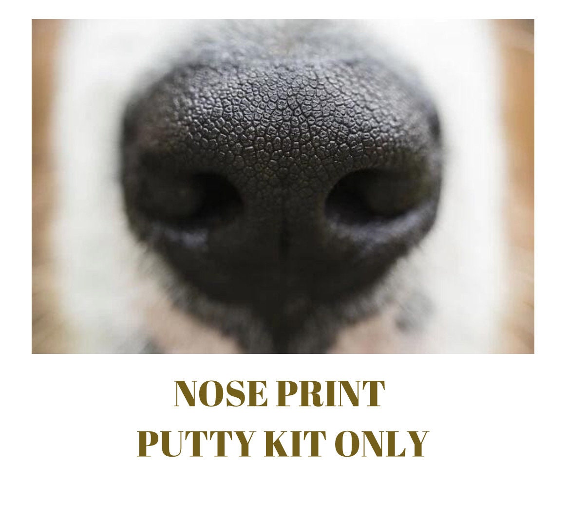 Small/medium Dog/cat Nose Replica Print Putty, Nose Print, Pet Keepsake ...