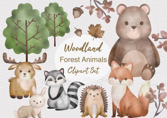 Watercolor Woodland Forest Animals Clipart Set,18 Png Forest Animals ...