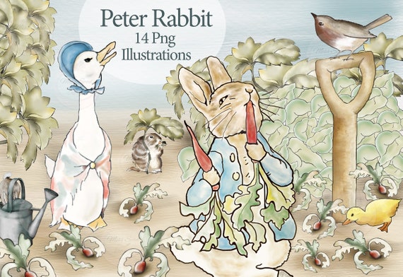 Hand Drawn Peter Rabbit Elements Clipart Set ,Png Set , Reworked Peter ...
