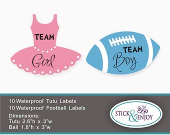 Team Pink Team Blue Gender Reveal Baby Party Stickers, Pink and Blue ...