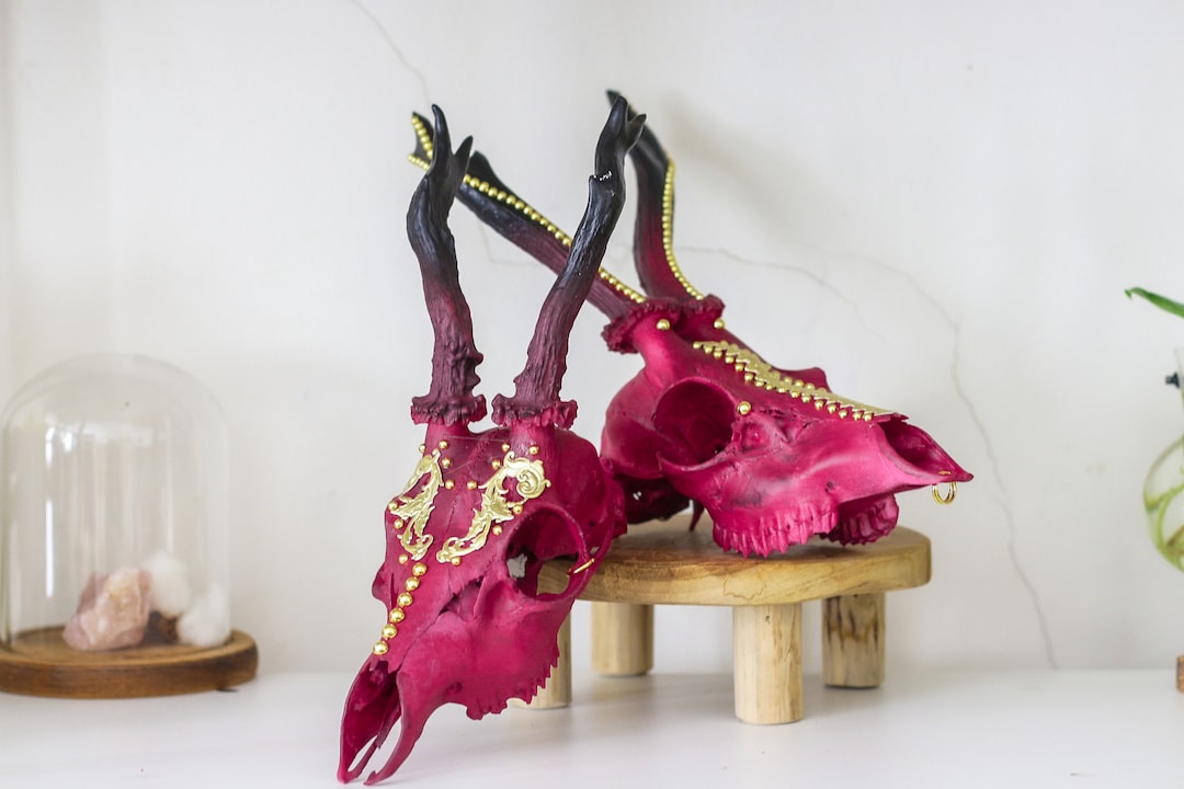 Set of 2 REAL Animal Skulls Painted Magenta Black and Gold - Etsy