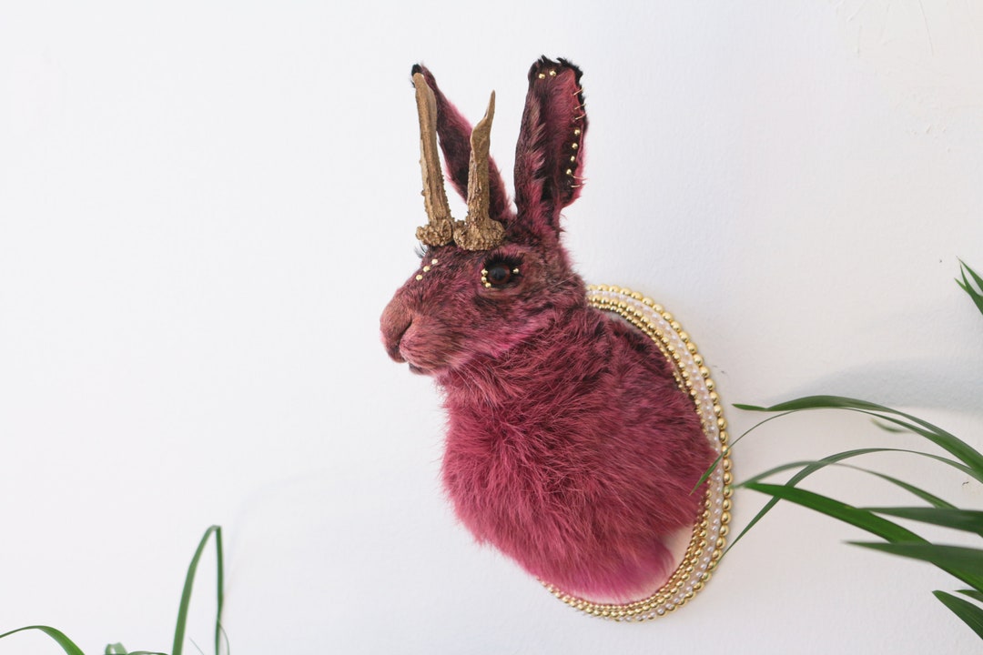 UNIQUE Pink Jackalope With Eyelashes and Gold Antlers, Soft Fur ...