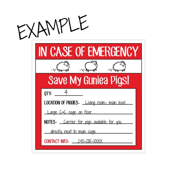 Pig Sticker Decal - Etsy