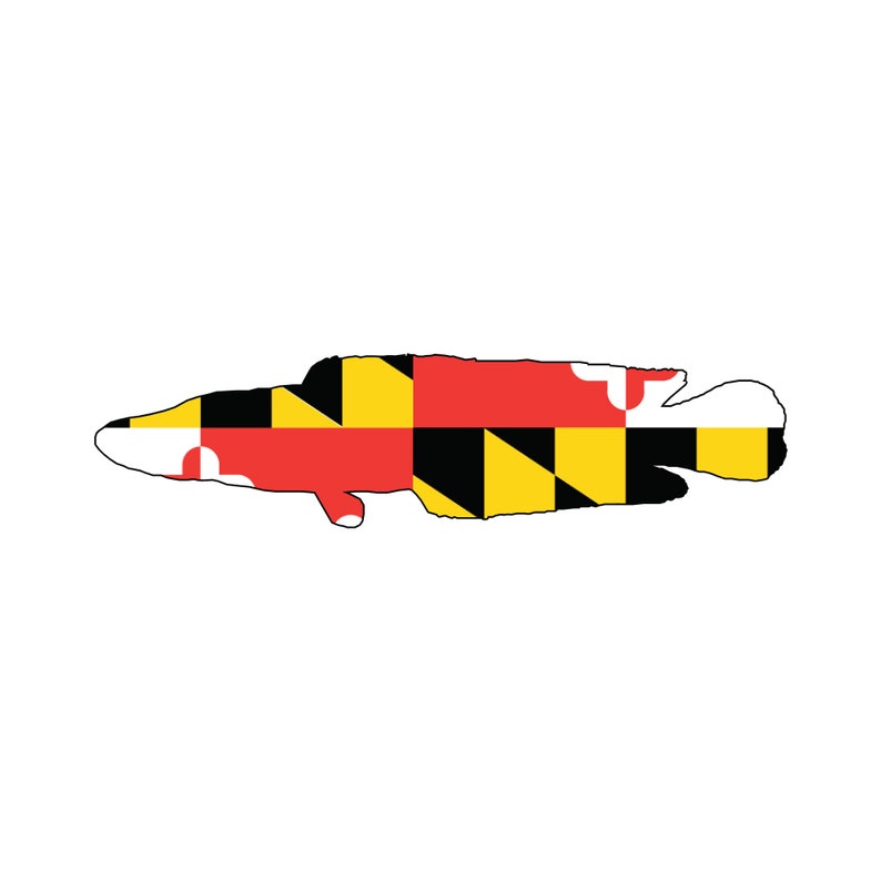 Maryland Flag Snakehead Car Decal. Snakehead Window Sticker. Vehicle ...
