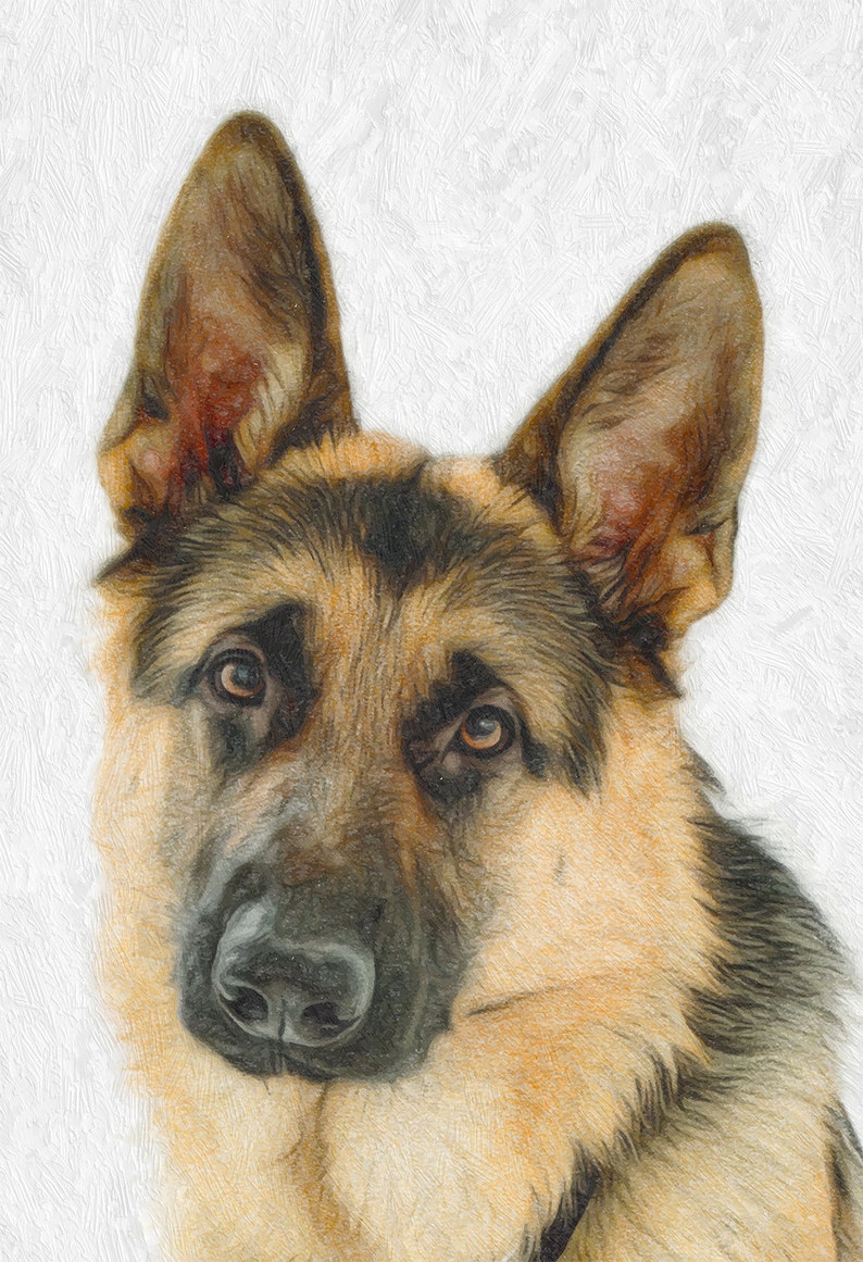 German Shepherd Dog Print illustration Art Print Poster Giclee | Etsy