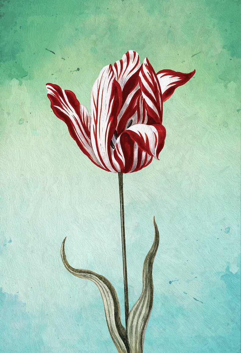 Tulip Print Tulip art botanical print flower Tulips decor | Etsy
