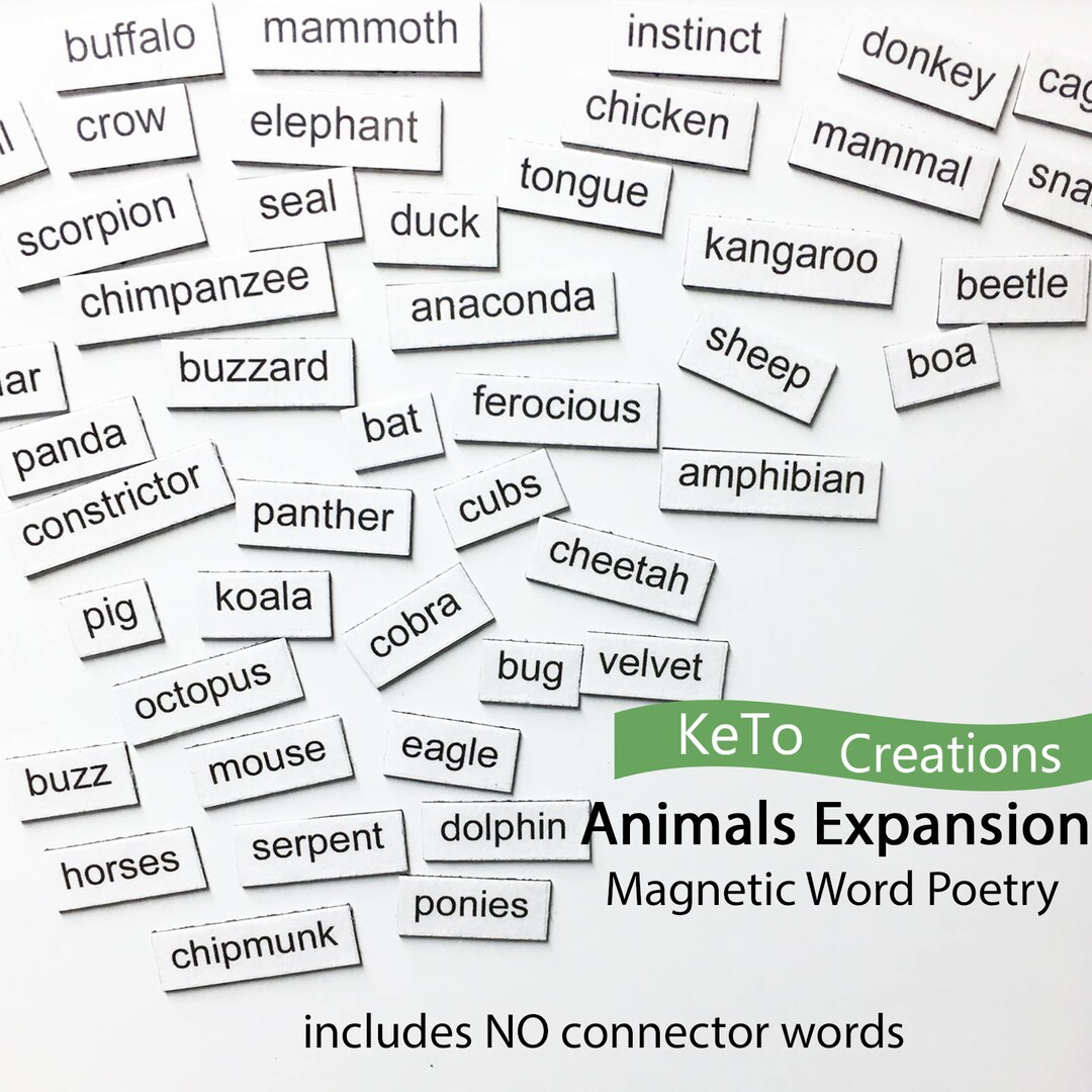 Animals Expansion Set Word Magnets - Wildlife Word Magnets - Can Be ...