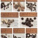 Coconut Buttons Wooden Buttons Sold in Quantity of 10 - Etsy