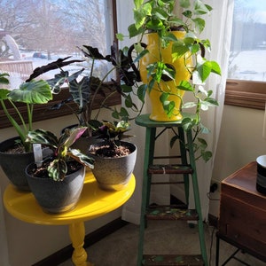 Rustic Antique Ladder/plant Stand - Etsy