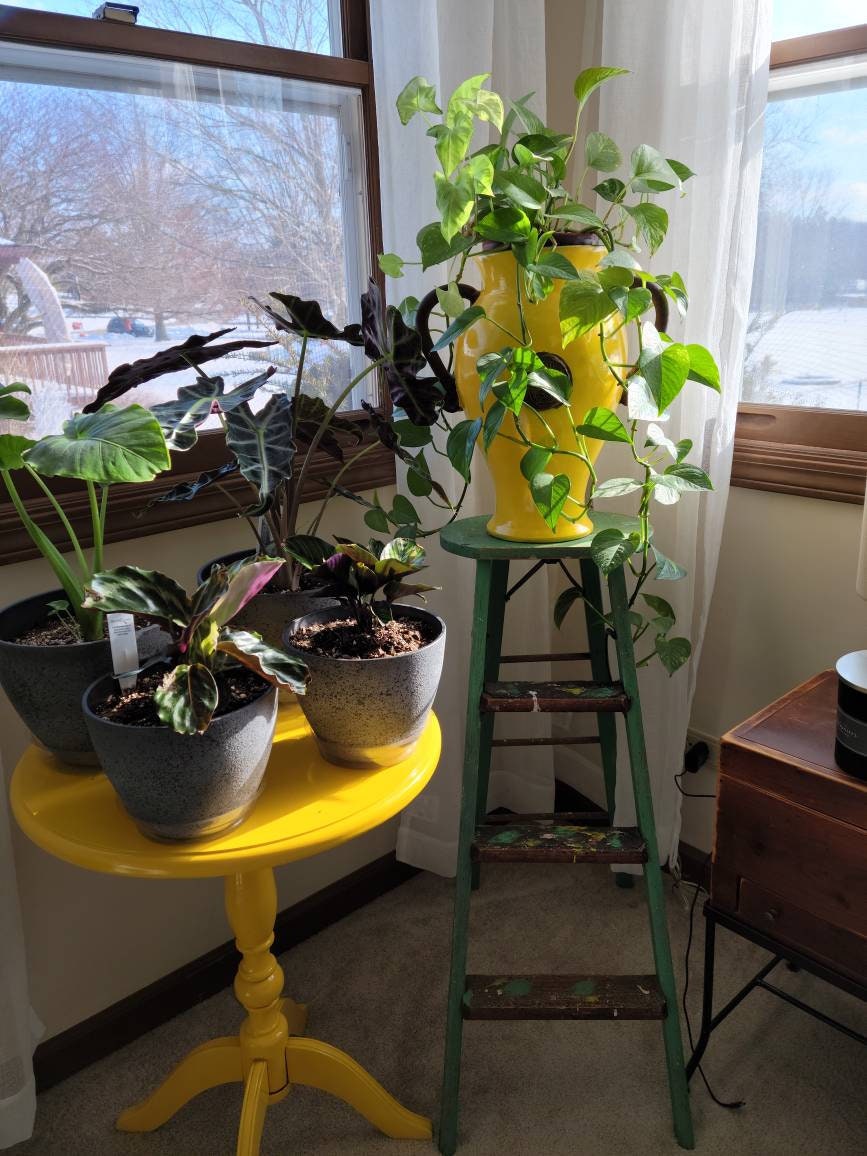 Rustic Antique Ladder/plant Stand - Etsy