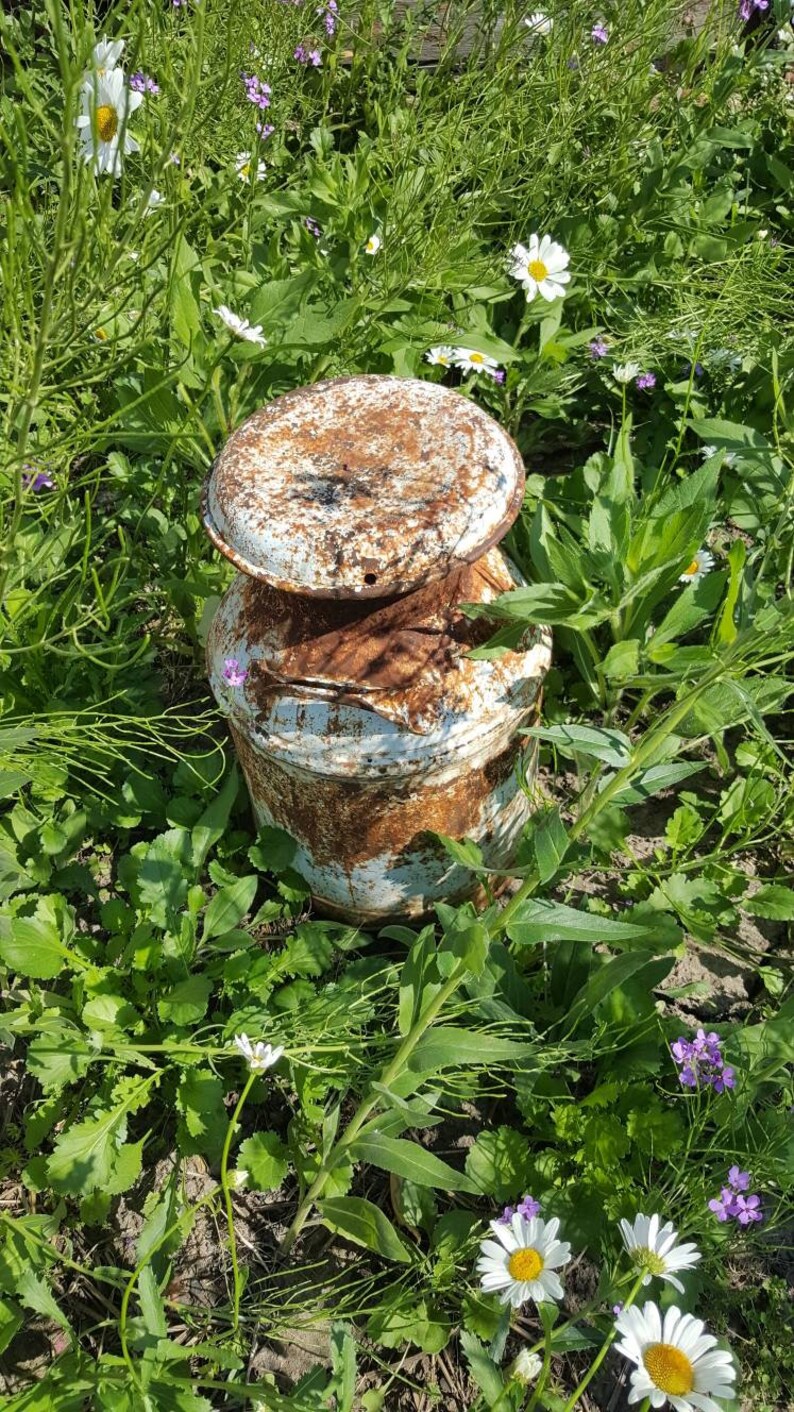 Rustic Milk Cans - Etsy