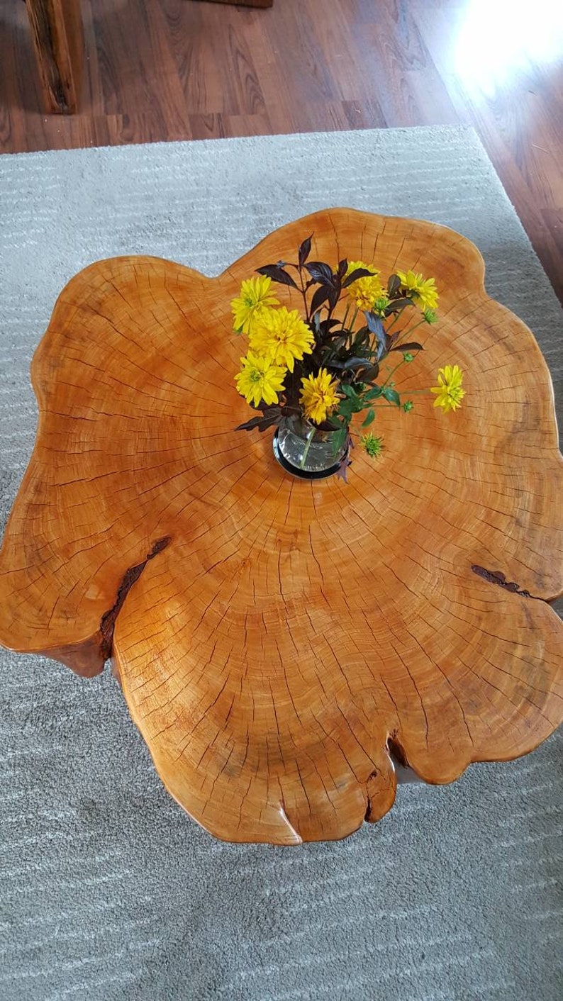 Solid Elm Stump Coffee Table - Etsy