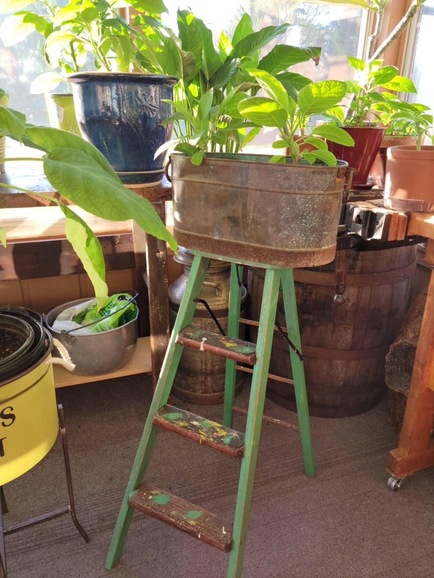 Rustic Antique Ladder/plant Stand - Etsy