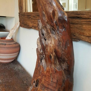 Drift Wood Display Rose Wood From the Coast of Belize - Etsy