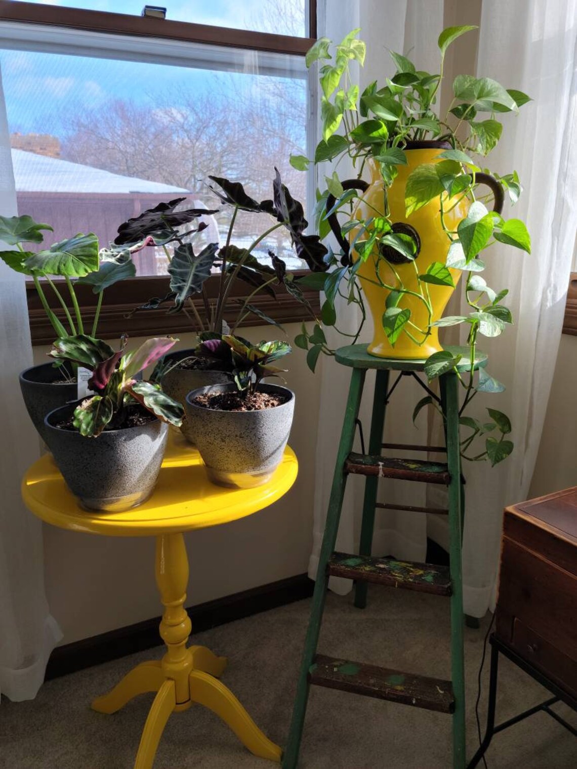 Rustic Antique Ladder/plant Stand - Etsy