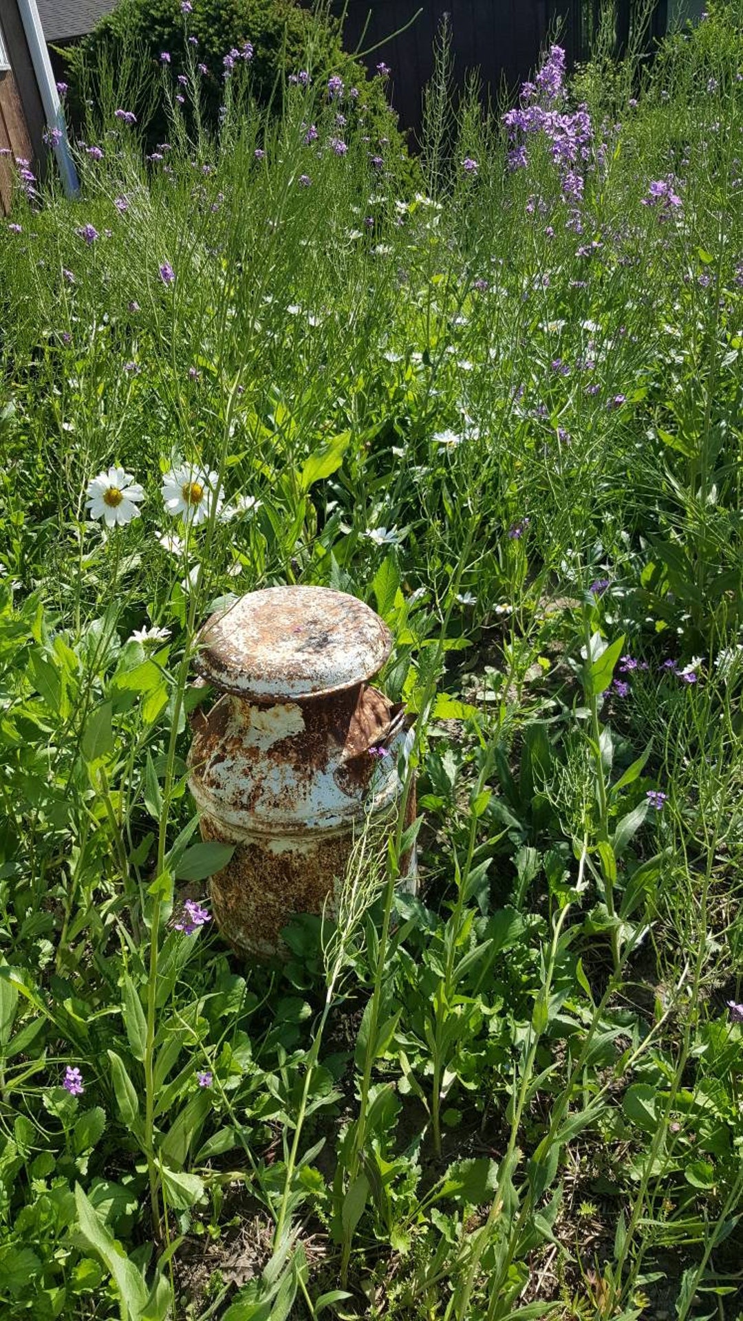 Rustic Milk Cans - Etsy