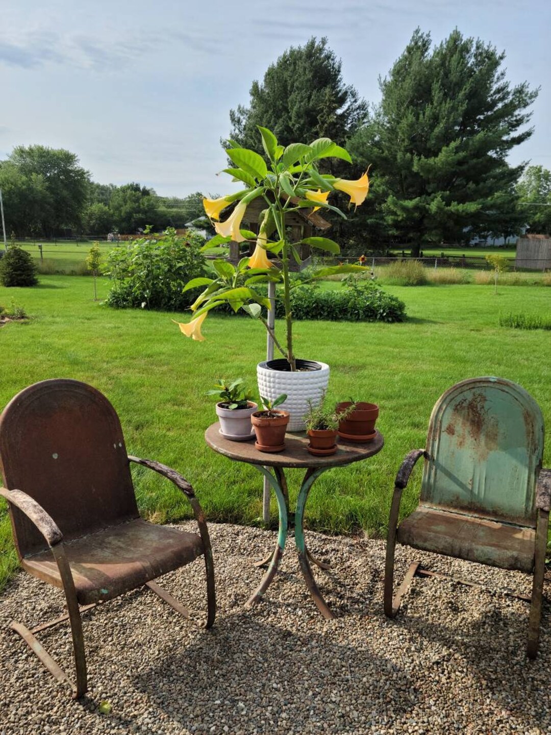 Rustic Antique Garden Table and Chairs Set - Etsy
