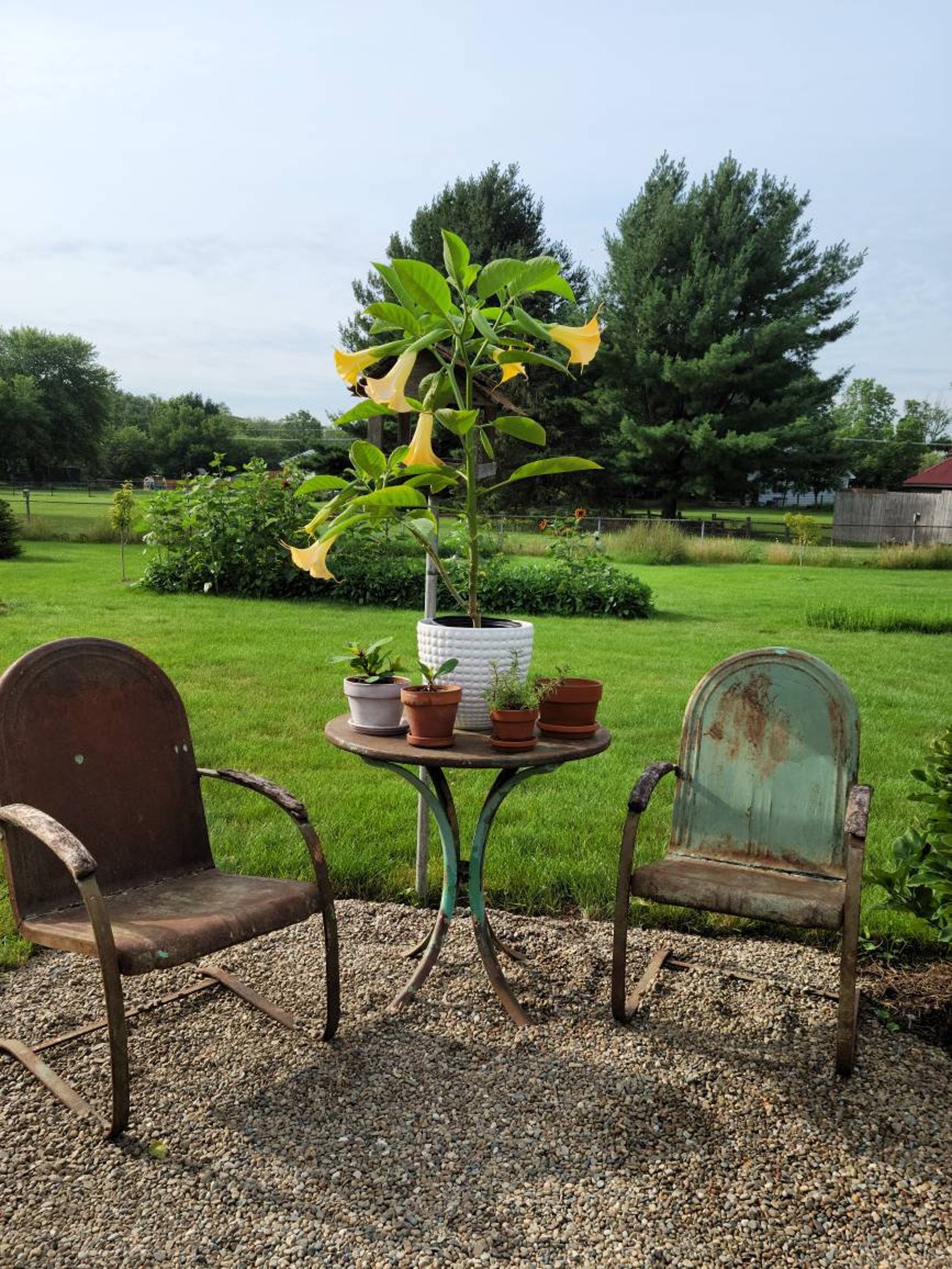 Rustic Antique Garden Table and Chairs Set - Etsy