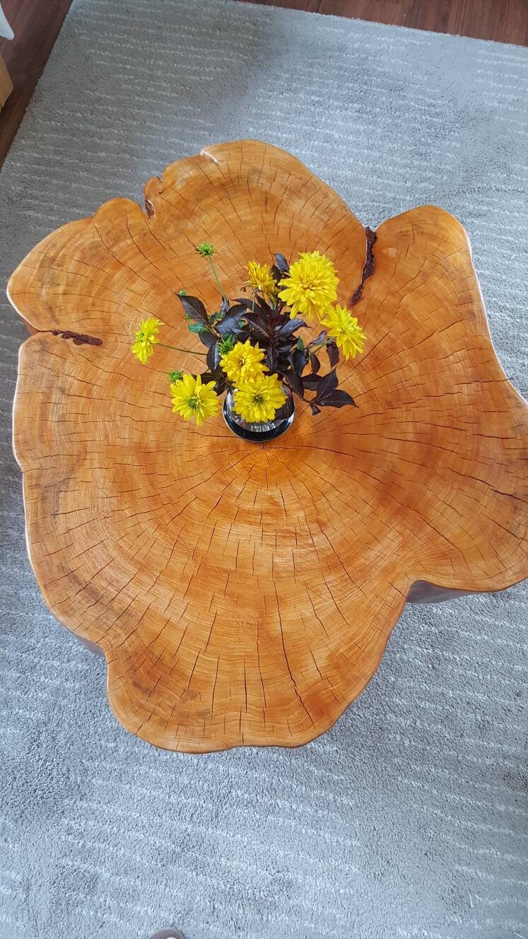 Solid Elm Stump Coffee Table - Etsy