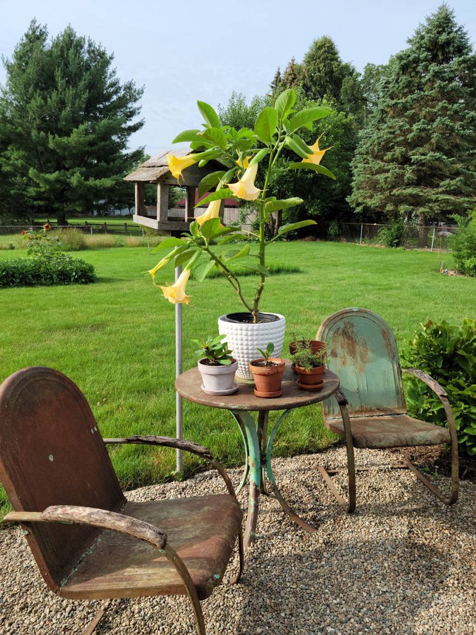 Rustic Antique Garden Table and Chairs Set - Etsy