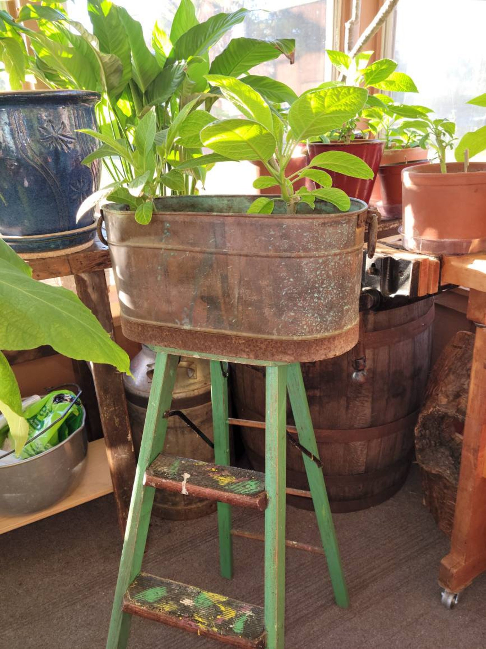 Rustic Antique Ladder/plant Stand - Etsy