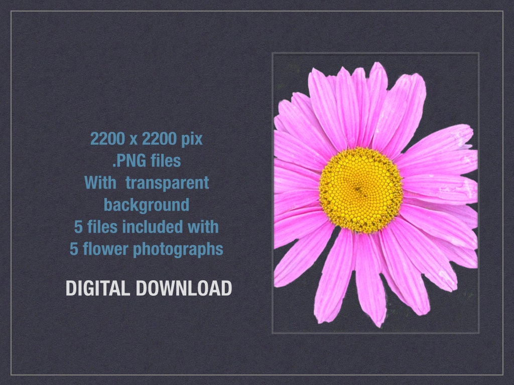 Colorful Flower Clip Art Bundle Digital PNG Files for Personal ...