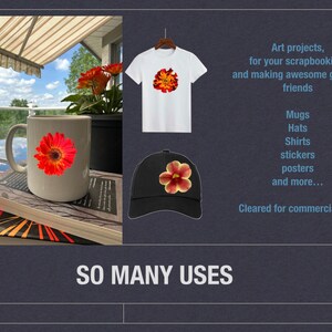 Colorful Flower Clip Art Bundle - Digital PNG Files for Personal ...