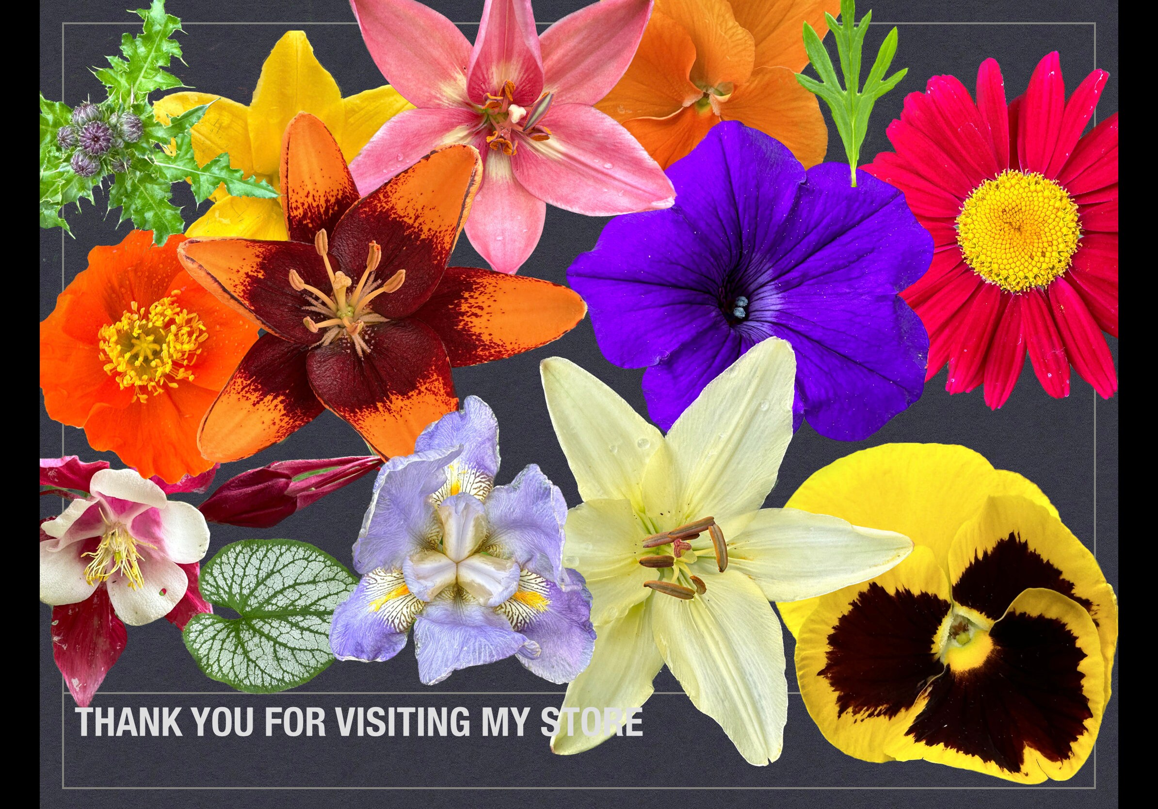 Colorful Flower Clip Art Bundle - Digital PNG Files for Personal ...