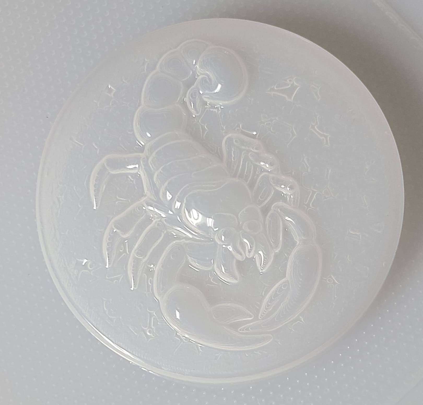 Scorpion on a Round Plastic Mold or Silicone Mold, Bath Bomb Mold, Soap ...