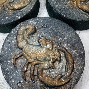 Scorpion on a Round Plastic Mold or Silicone Mold, Bath Bomb Mold, Soap ...